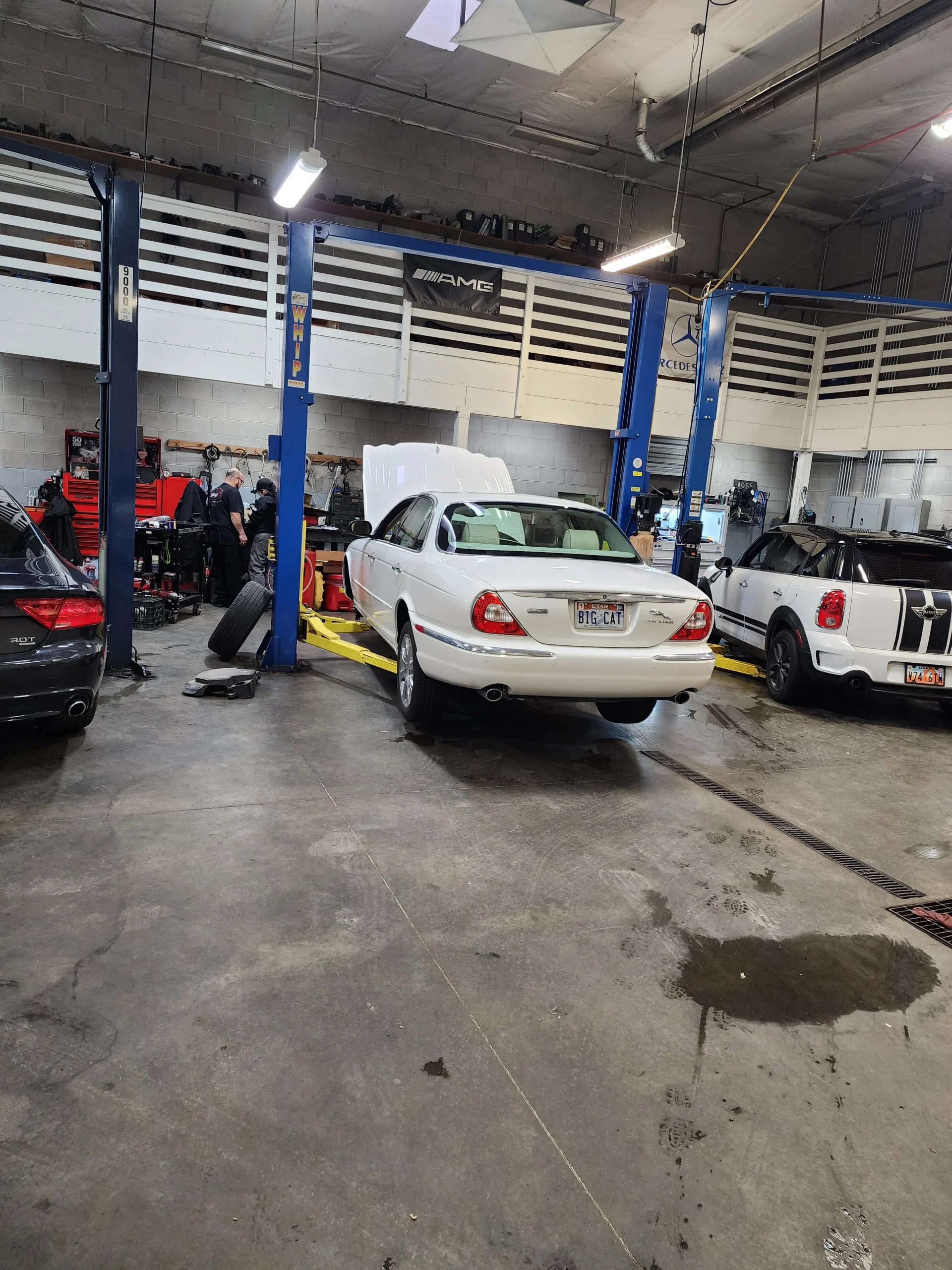 European Auto Repair Shop in Midvale, UT - European Auto Mechanics You ...